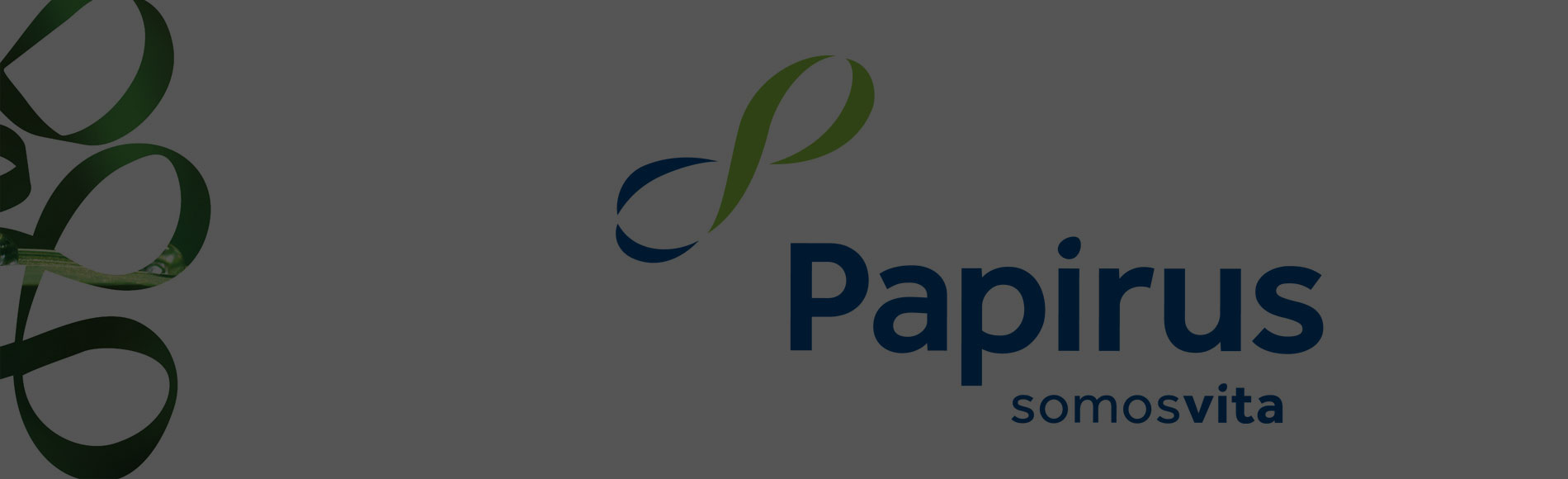 Papirus lança novo site corporativo - ABRE