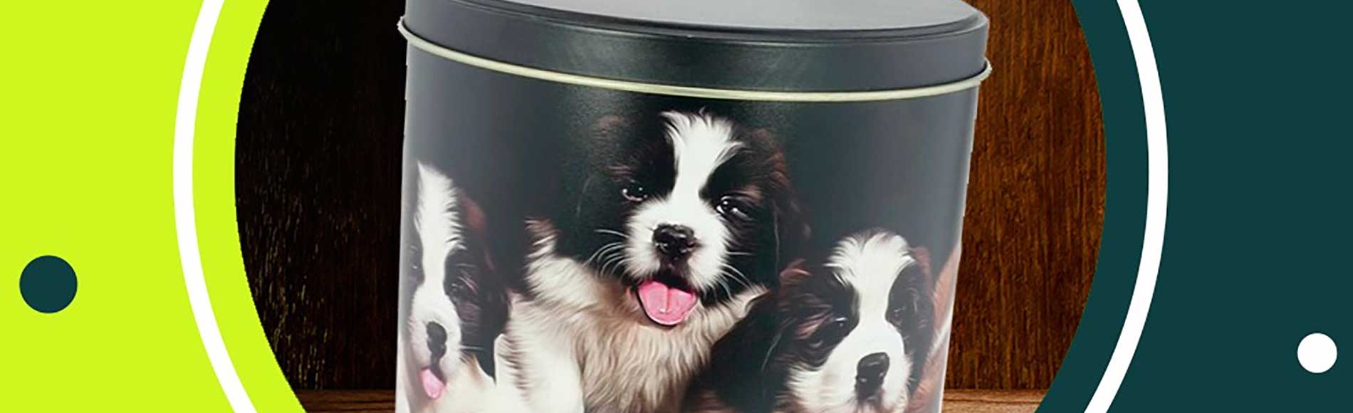 Loja da Lata, Unidade de Negócios Digitais da Brasilata, conquista o ...