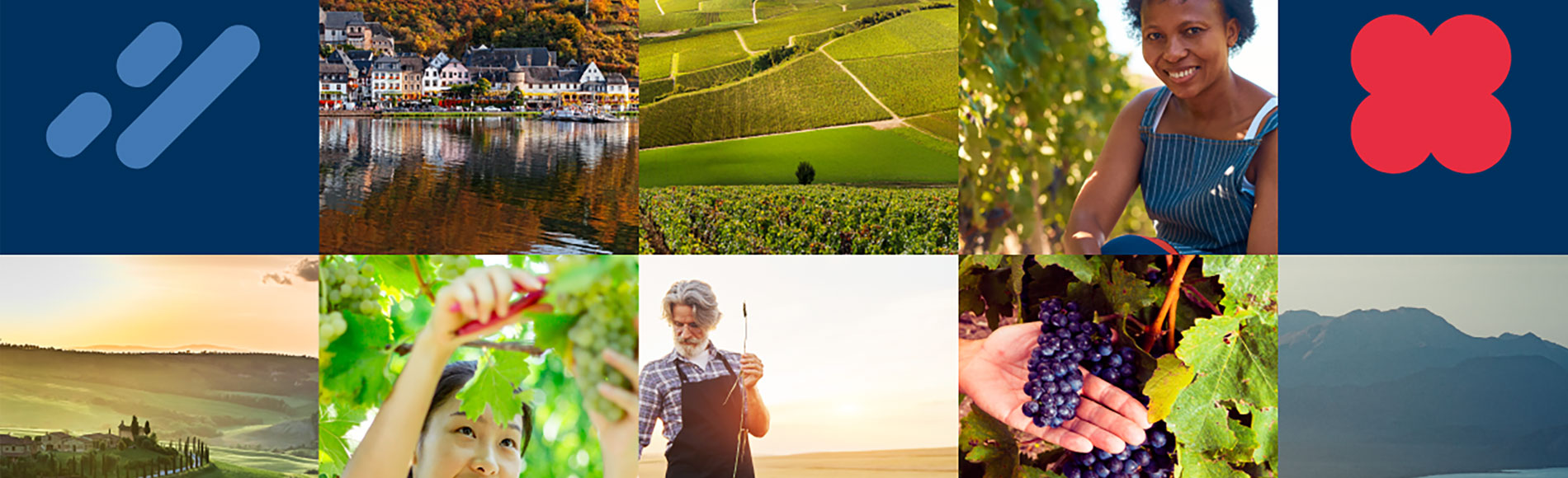 A All4Labels – Global Packaging Group lança sua nova estratégia global ... A All4Labels – Global Packaging Group lança sua nova estratégia global ...