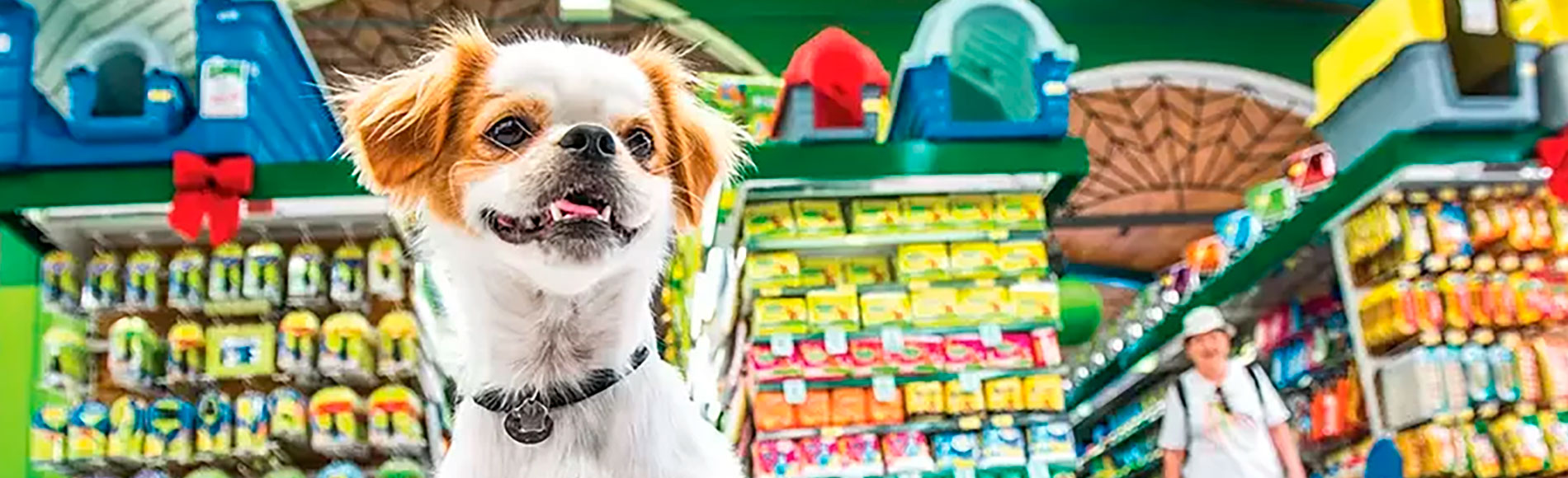 Mercado Pet e novos nichos para crescimento - ABRE