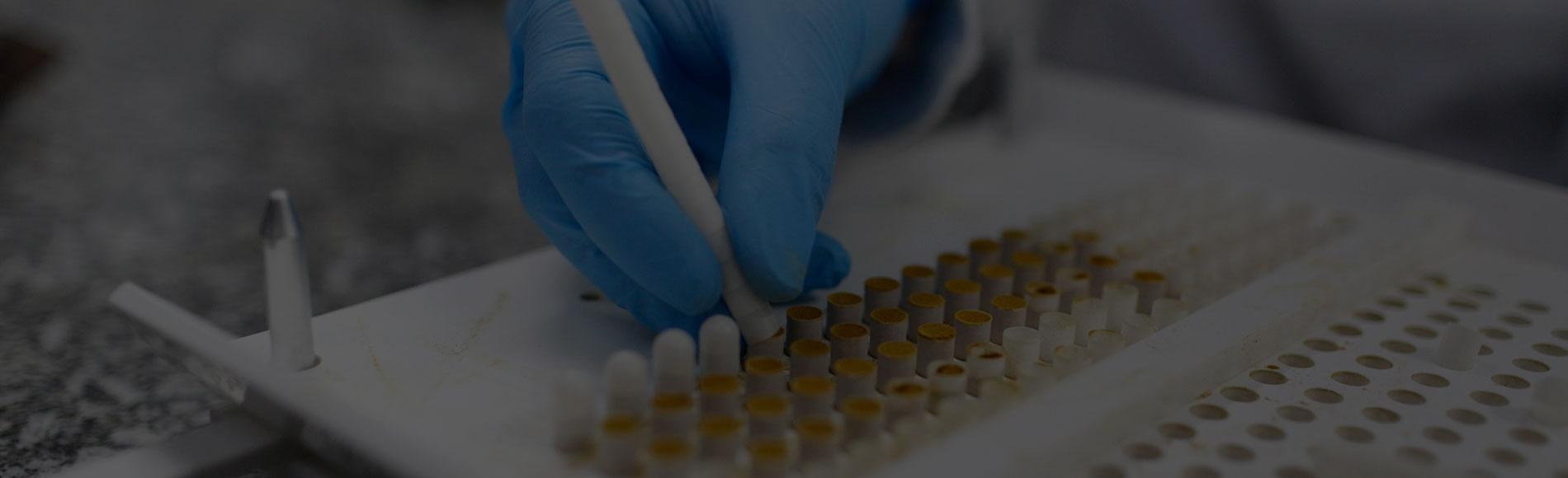 Apis Flora desenvolve tecnologia de encapsulamento das partículas da ...