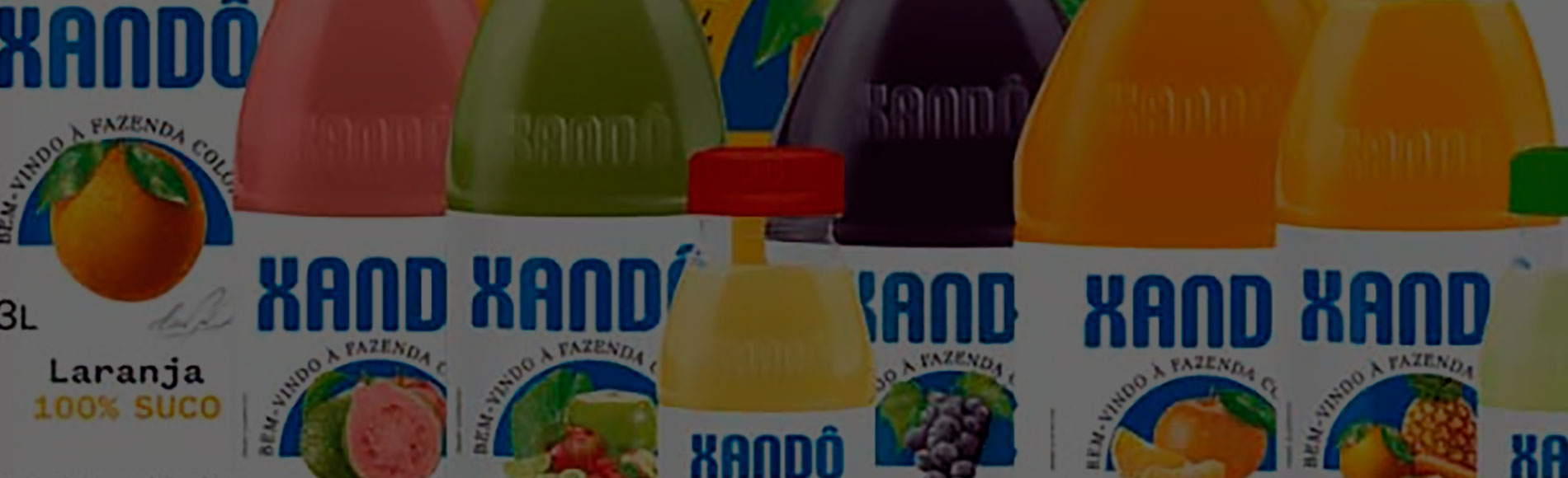 Xandô projeta crescimento de vendas e faturamento - ABRE